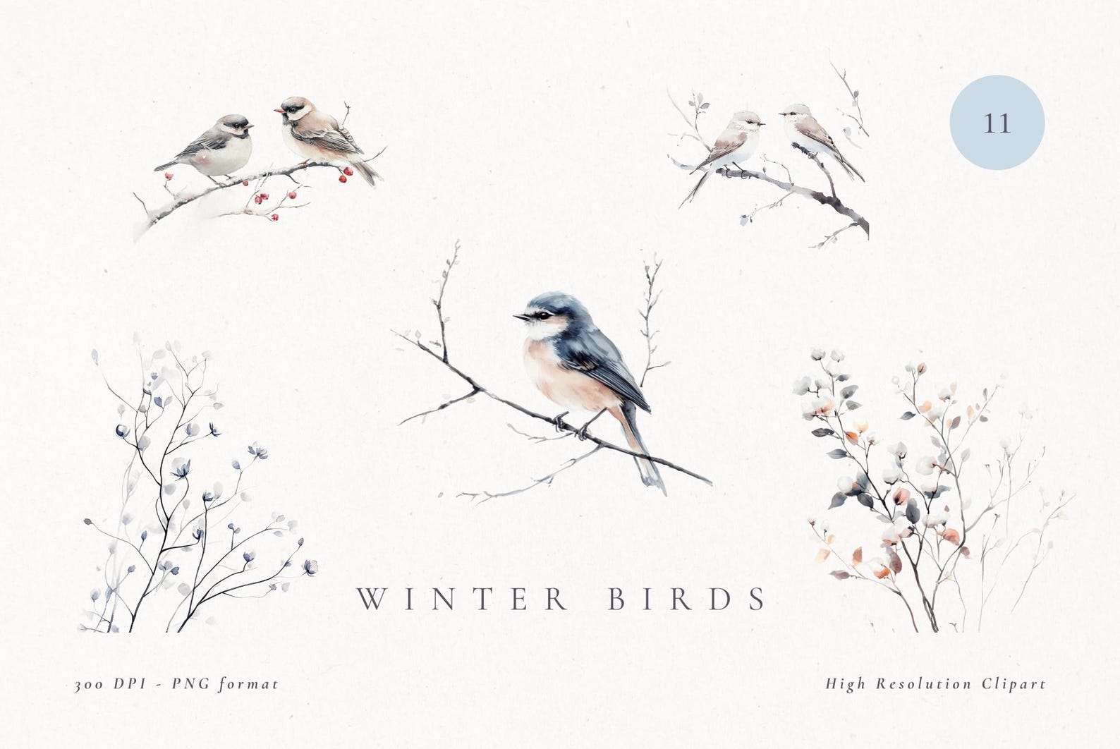 Watercolor Winter Birds Clipart: Christmas Botanicals (digital Download ...