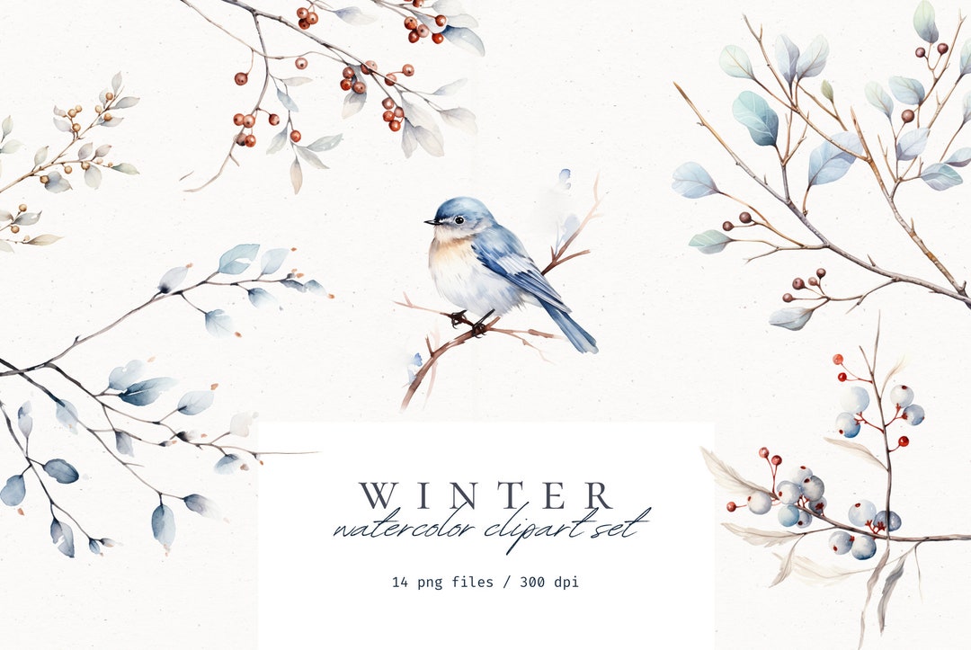 Watercolor Winter Clipart: Bird & Botanical Illustrations (digital ...