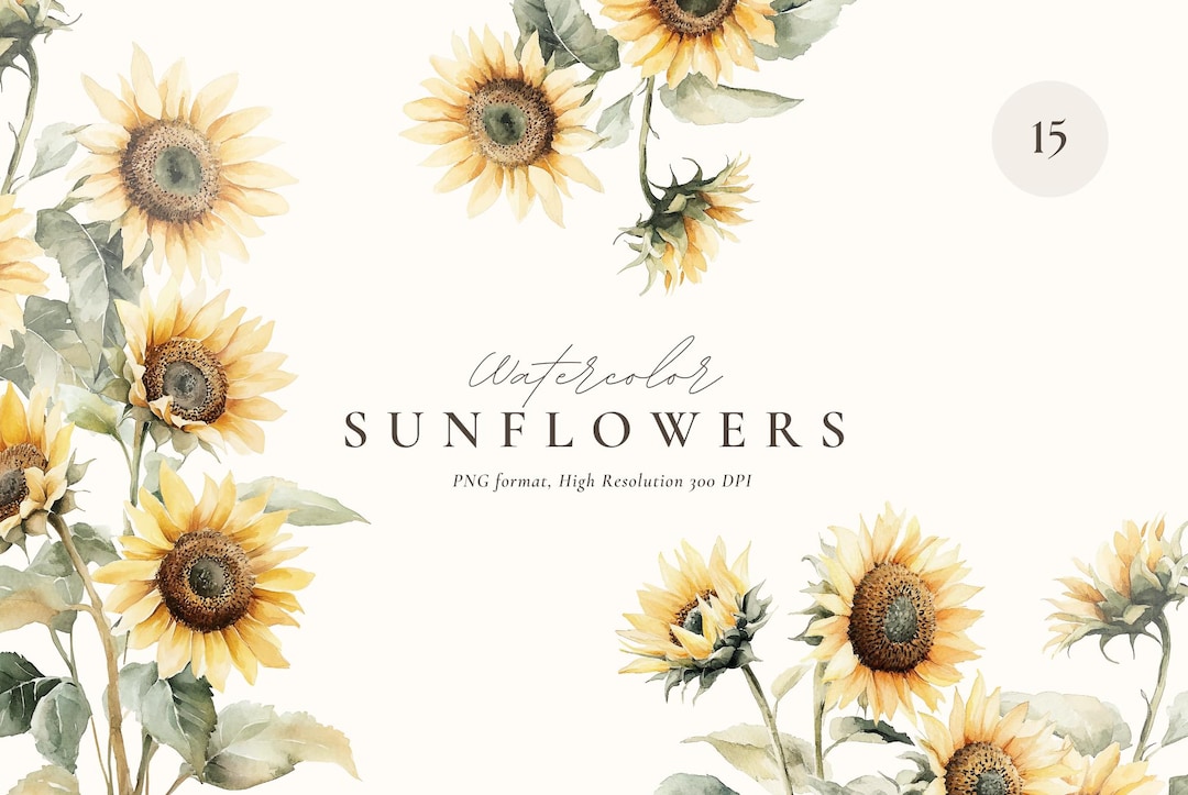 Watercolor Sunflower Clipart: Floral Wedding Graphics (digital Download ...