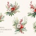 Winter Watercolor Clipart, Christmas Watercolor Flowers, Premade ...
