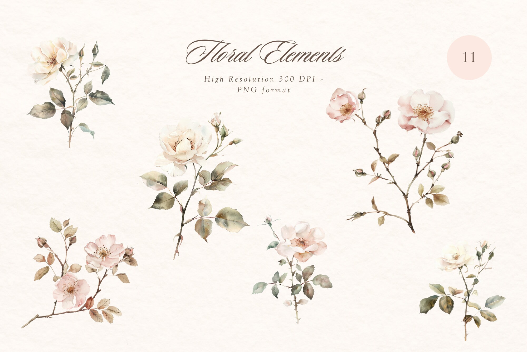 Watercolor Rose Clipart: Floral Elements & Frames (digital Download) - Etsy