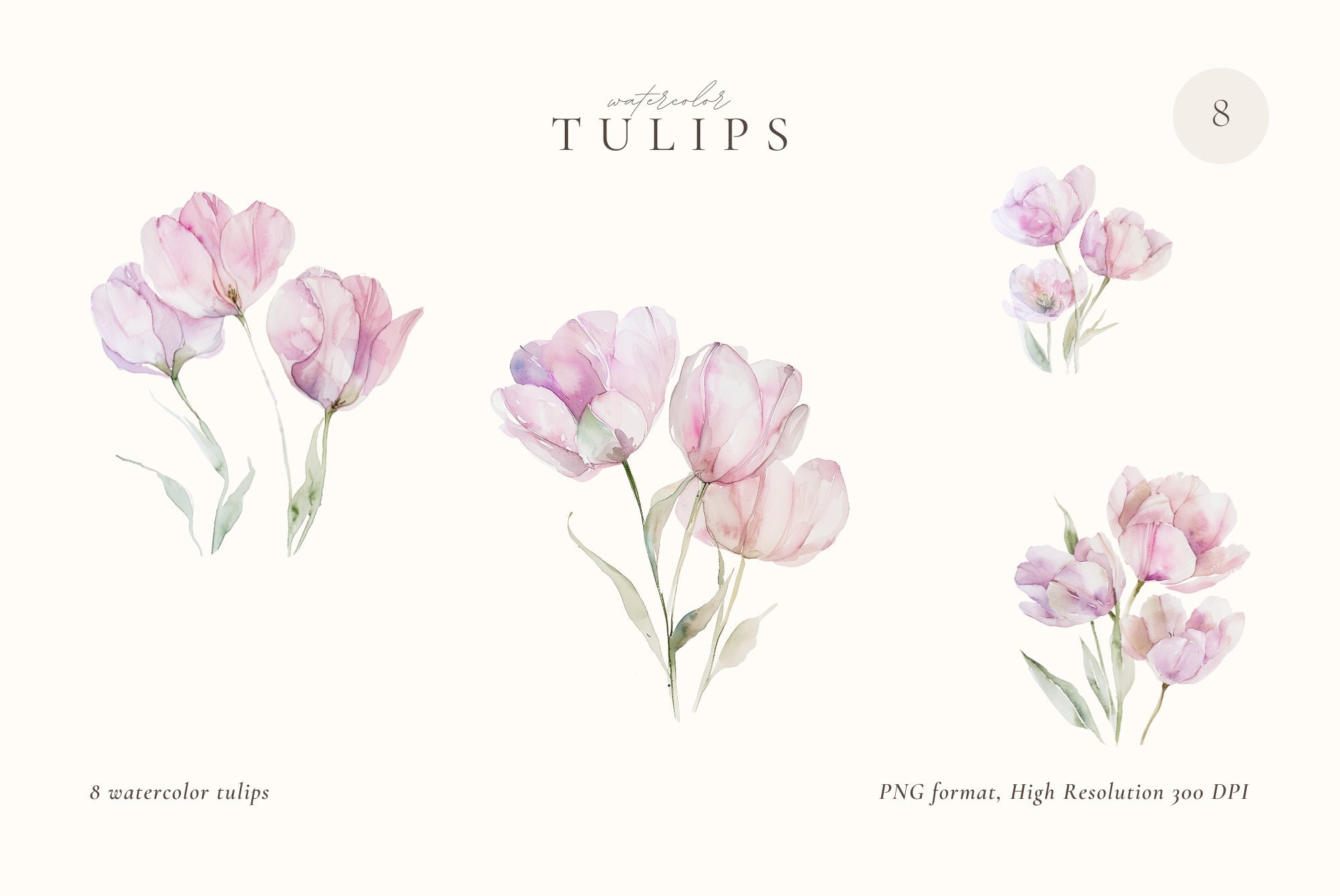 Watercolor Tulips Clipart, Tulipas Clipart, Wedding Invitation Clipart ...