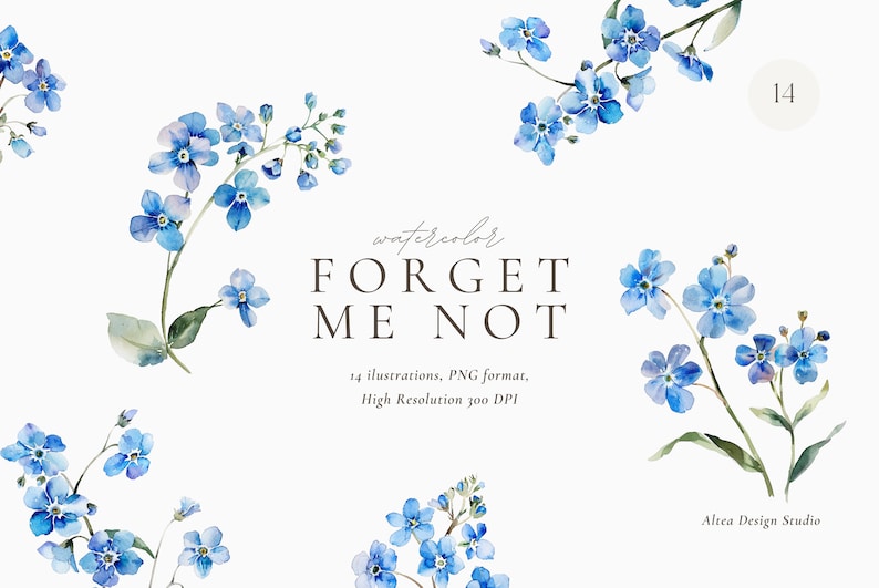 Forget Me Not Clipart: Watercolor Spring Flowers (digital Download) - Etsy