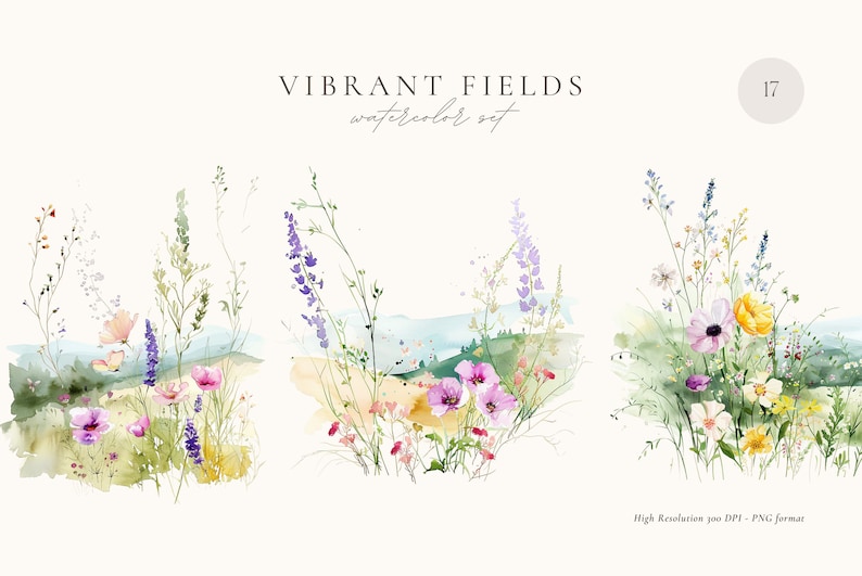Watercolor Floral Clipart: Spring Wildflower PNG Set (digital Download ...