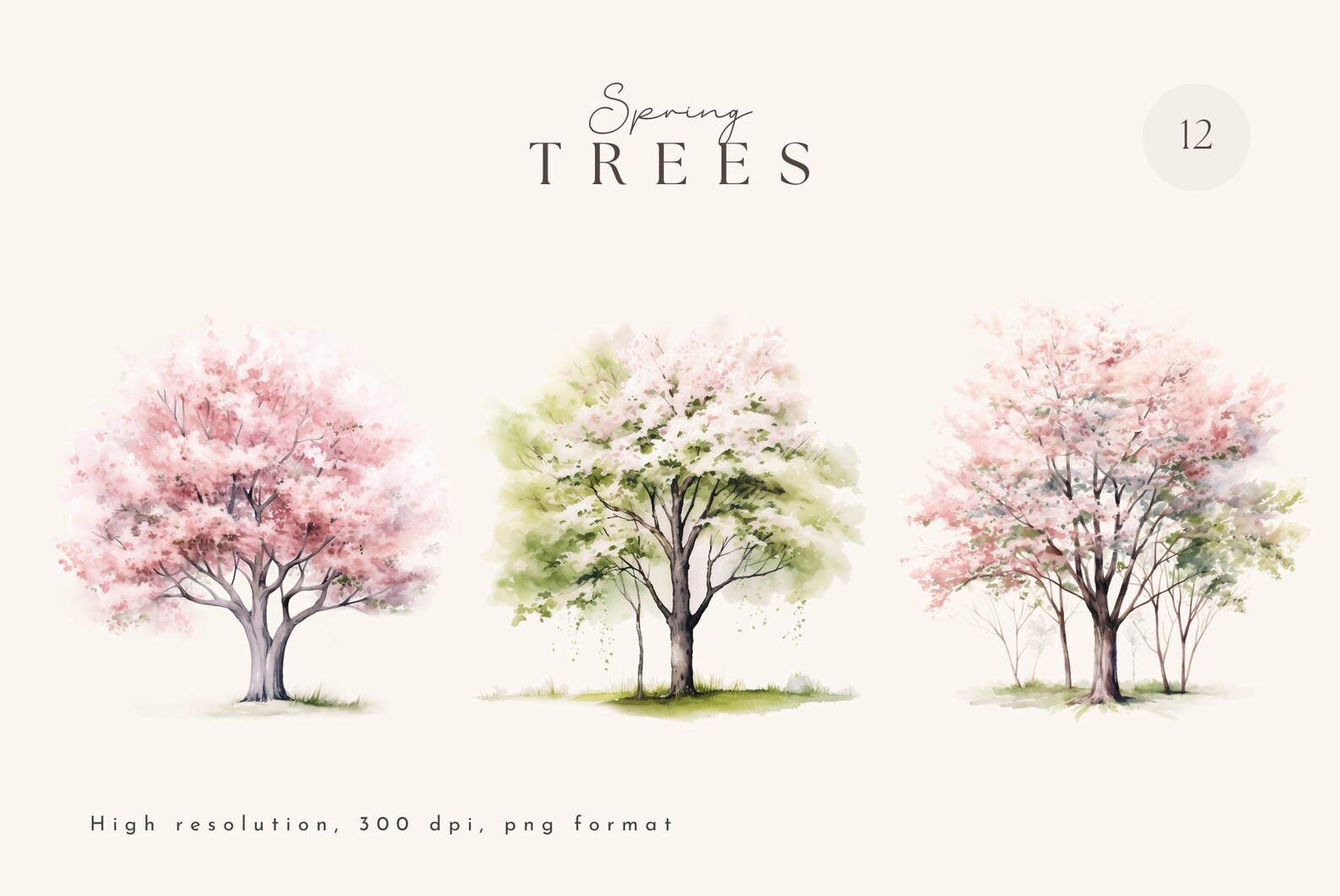 Watercolor Spring Trees Clipart: Cherry Blossom & Magnolia (PNG Digital ...