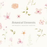 Valentine Floral Clipart - Watercolor - Botanical Png Bundle - Floral ...