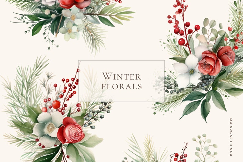 Winter Watercolor Clipart, Christmas Watercolor Flowers, Premade ...
