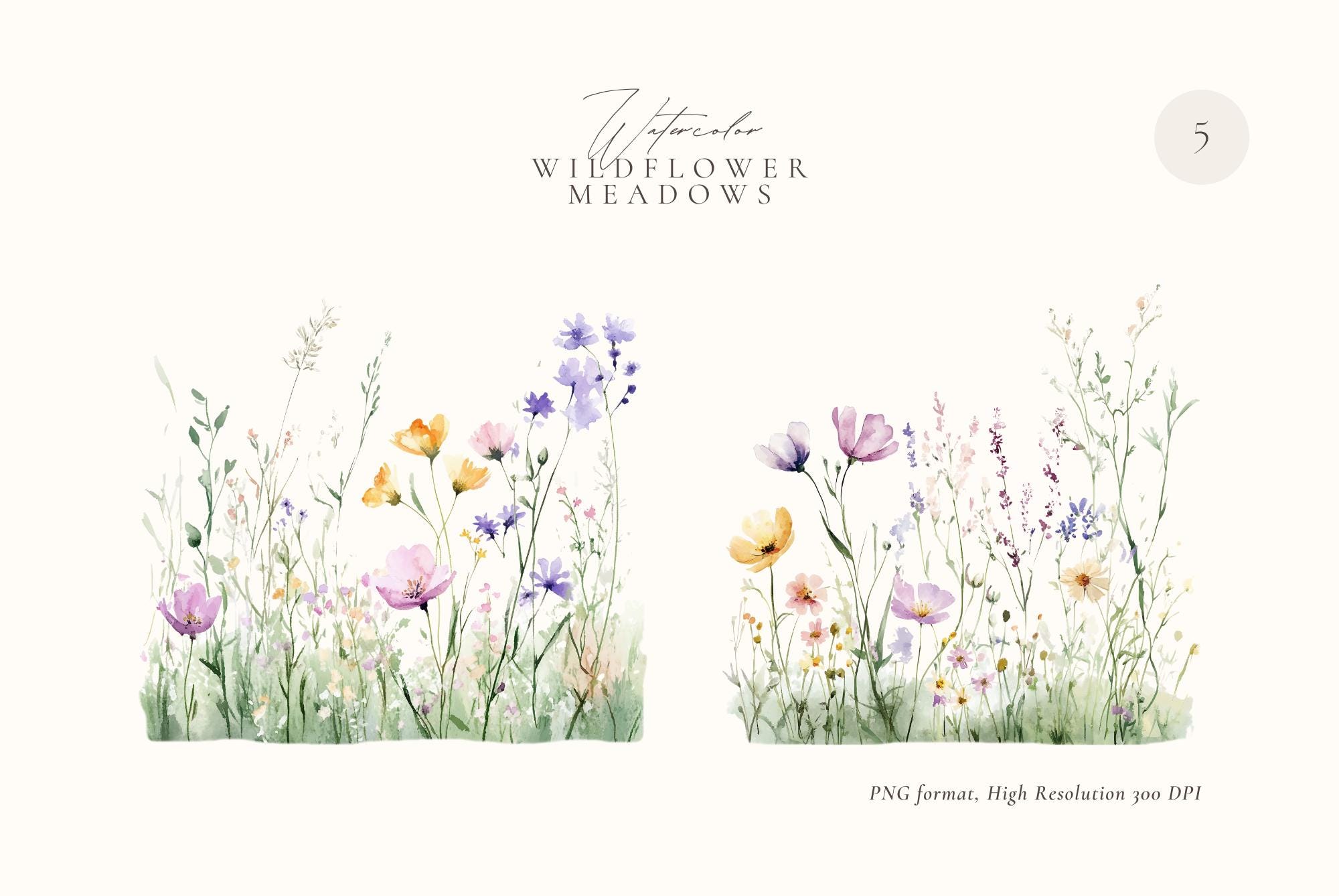 Watercolor Wildflower Clipart: Spring Floral Borders (digital Download ...