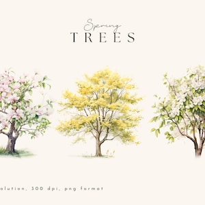 Watercolor Spring Trees Clipart: Cherry Blossom & Magnolia (PNG Digital ...
