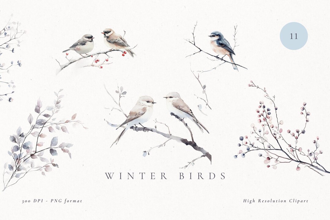 Watercolor Winter Clipart, Birds Clipart, Winter Botanicals, Greenery ...