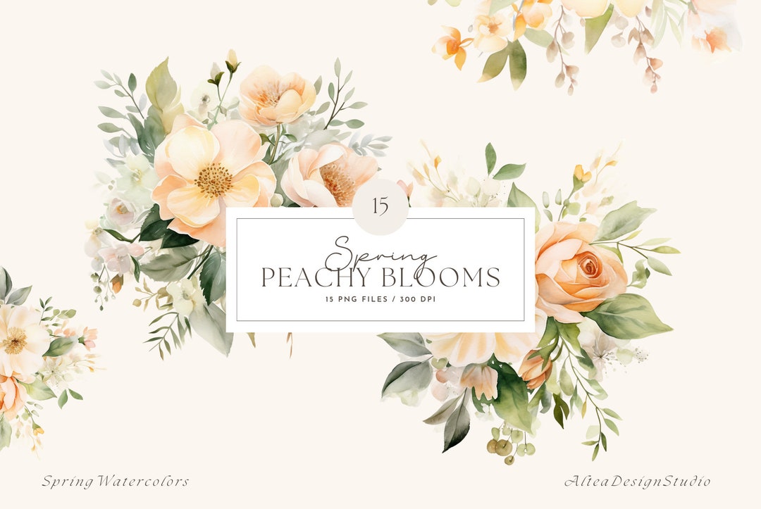 Watercolor Spring Flowers, Floral Clipart PNG, Peachy Watercolor ...