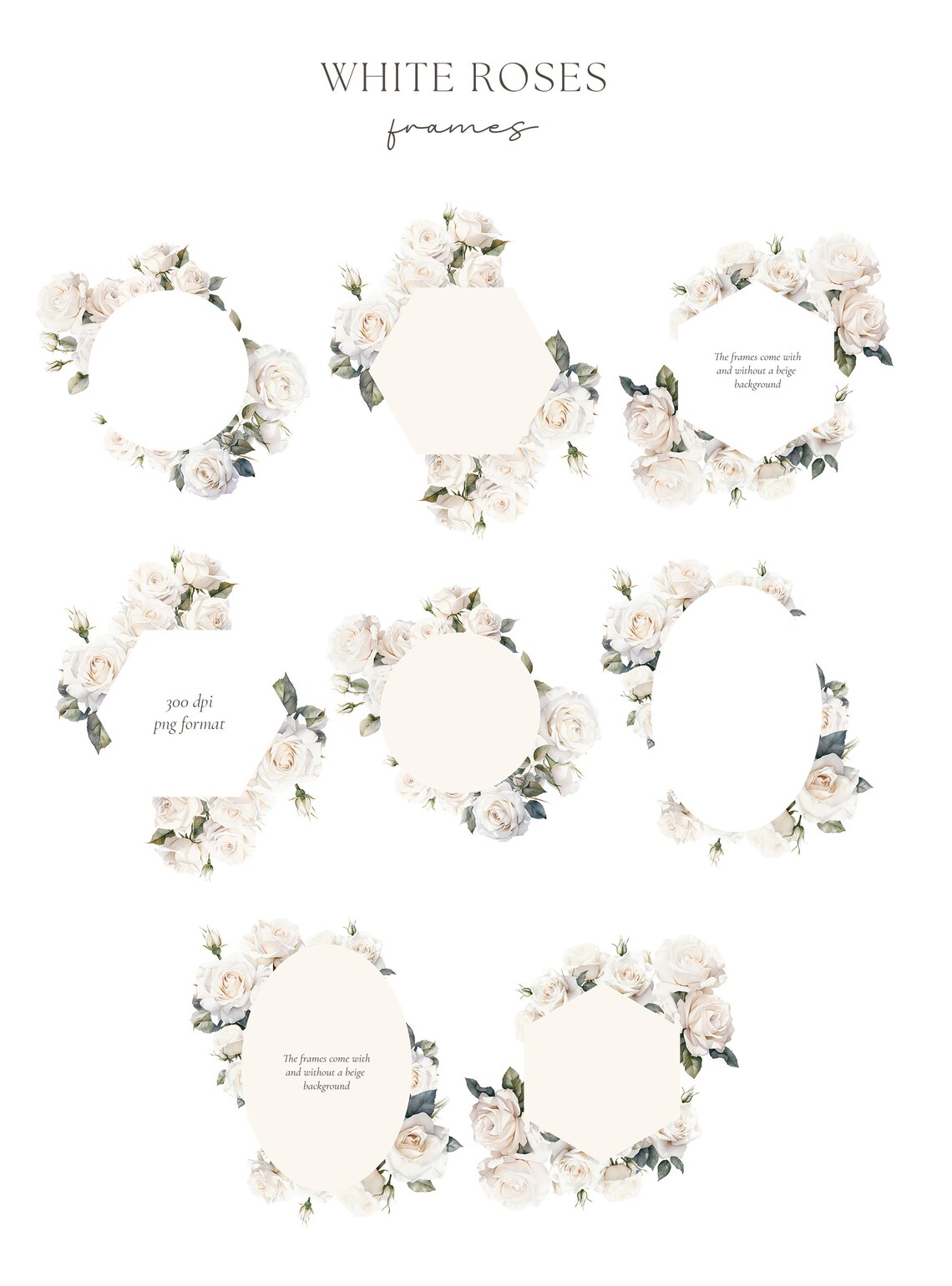 White Rose Clipart, Watercolor Roses Clipart, White Rose Flower ...