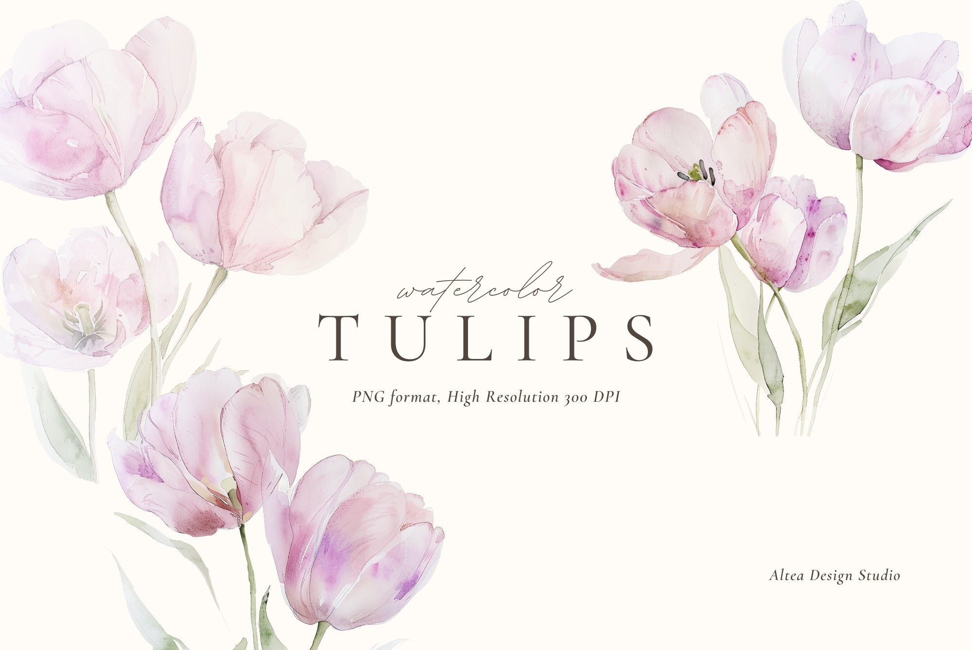 Watercolor Tulips Clipart, Tulipas Clipart, Wedding Invitation Clipart ...