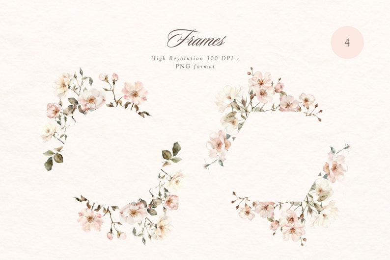 Watercolor Rose Clipart: Floral Elements & Frames (digital Download) - Etsy