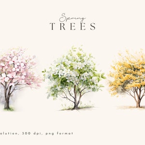 Watercolor Spring Trees Clipart: Cherry Blossom & Magnolia (PNG Digital ...