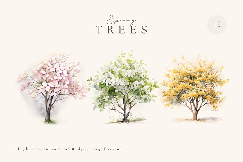 Watercolor Spring Trees Clipart: Cherry Blossom & Magnolia (PNG Digital ...