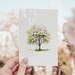 Watercolor Spring Trees Clipart: Cherry Blossom & Magnolia (PNG Digital ...
