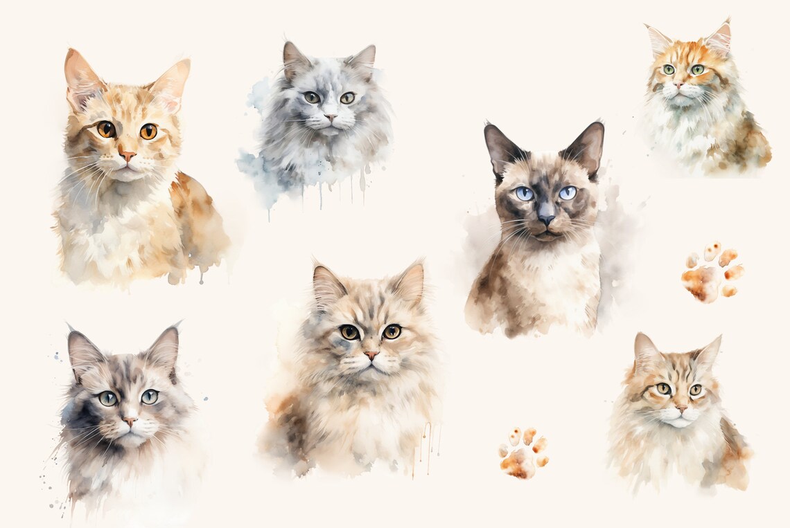 Watercolor Cats Clipart, Kittens Clipart, Cat PNG, Animal Watercolor ...