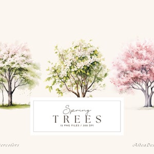 Watercolor Spring Trees Clipart: Cherry Blossom & Magnolia (PNG Digital ...