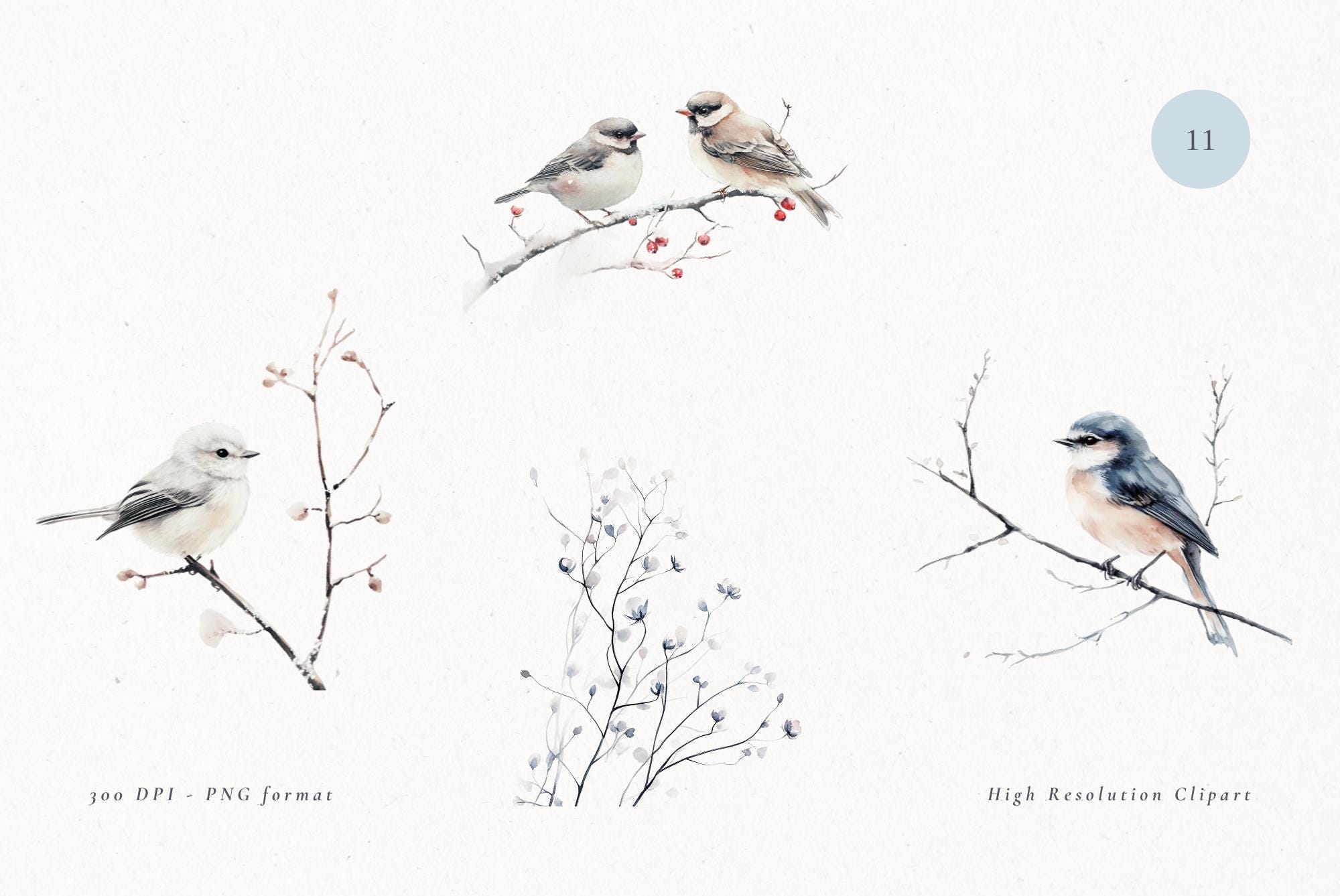 Watercolor Winter Birds Clipart: Christmas Botanicals (digital Download ...