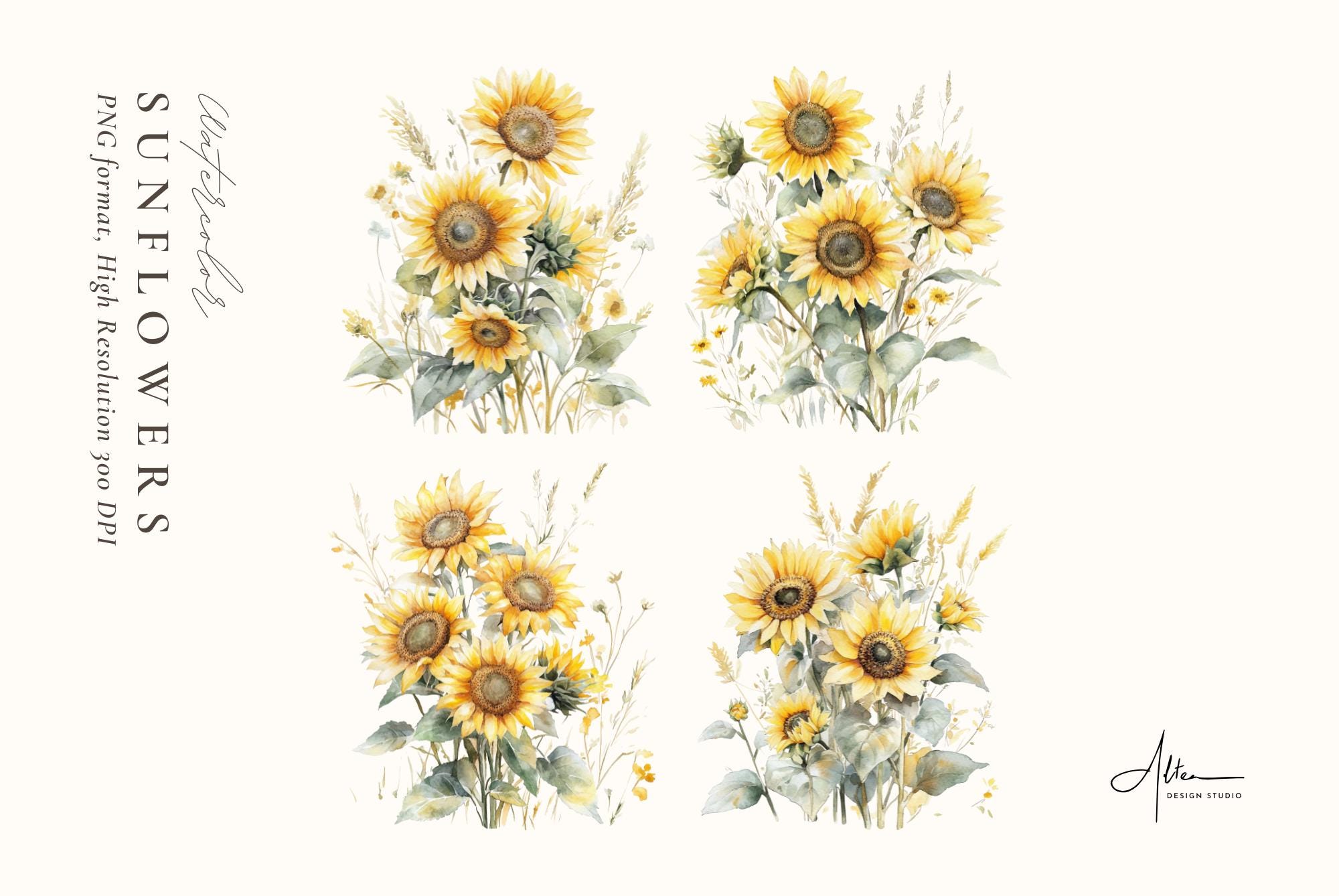 Watercolor Sunflower Clipart: Floral Wedding Graphics (digital Download ...