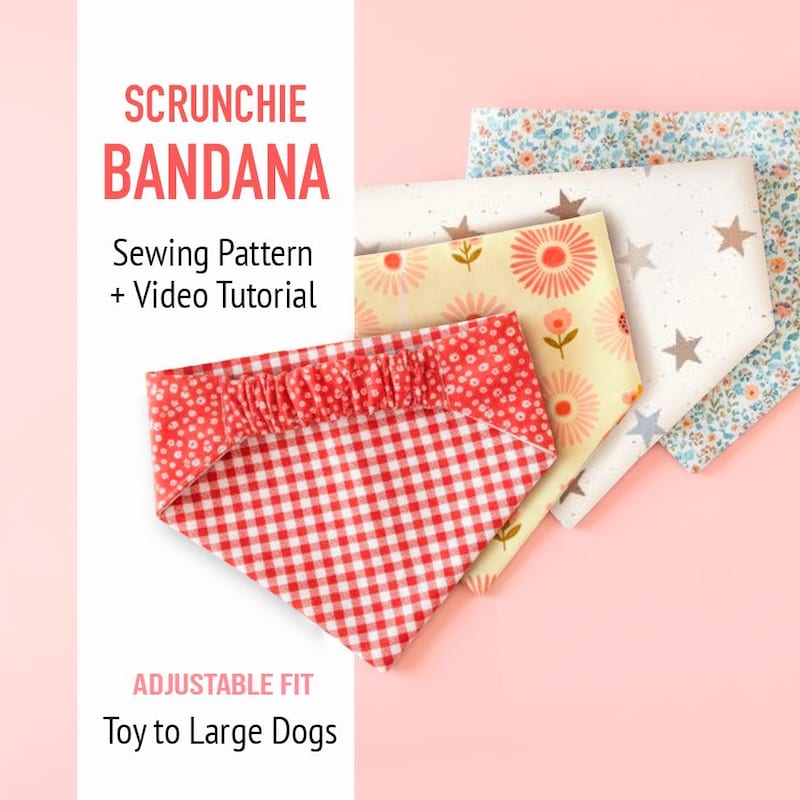 Dog Bandana on Collars - Etsy