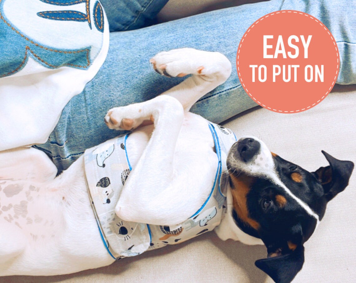 Dog Harness Pattern TUTORIAL VIDEO Pdf Sewing Pattern size - Etsy