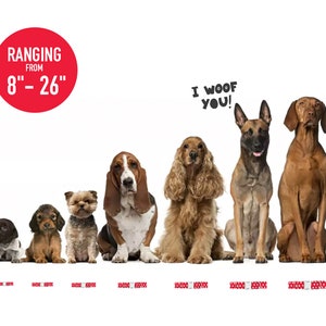 Dog Collar PDF + Tutorial Video X4 Sizes - Cat - Pdf Sewing Pattern ...