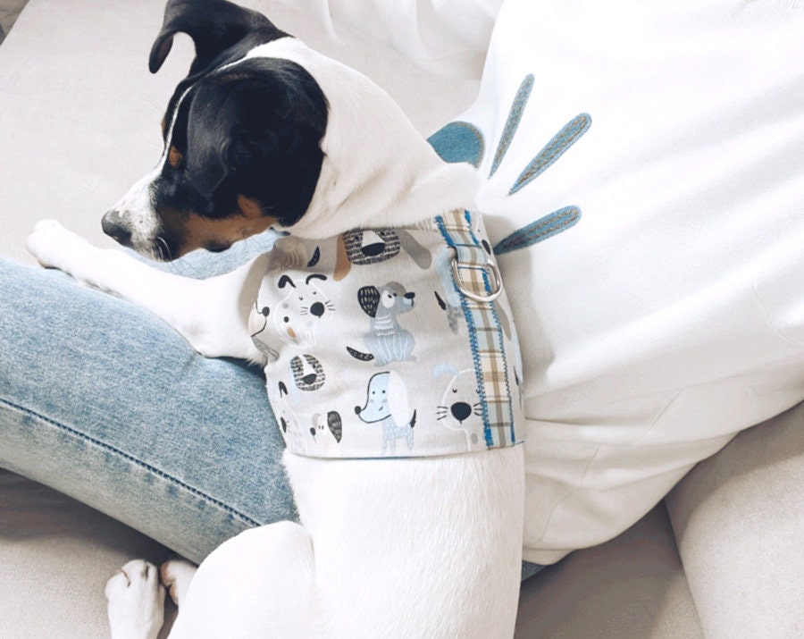Dog Harness Pattern TUTORIAL VIDEO Pdf Sewing Pattern size - Etsy