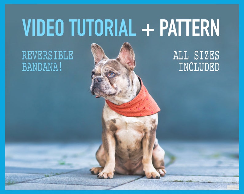 Dog Bandana Pattern Tutorial Video Dog Bandana X4 Sizes - Etsy