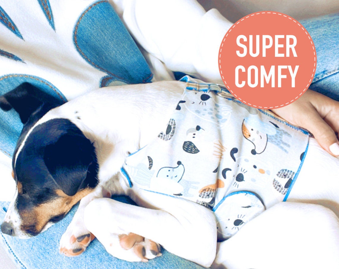 Dog Harness Pattern TUTORIAL VIDEO Pdf Sewing Pattern size - Etsy