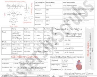 Newborn Nursing Cheat Sheet Nursing School Nurse Gift Digital Download ...
