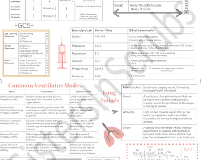 Newborn Nursing Cheat Sheet | Nursing School | Nurse Gift | Digital ...