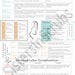 Labor & Delivery Nursing | Nursing Cheat Sheets | Nursing School ...