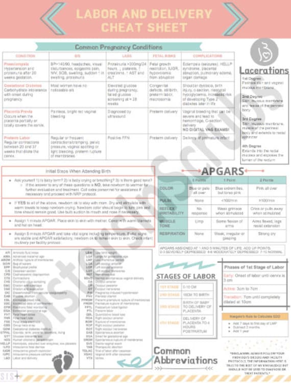 Labor & Delivery Nursing Nursing Cheat Sheets Nursing - Etsy