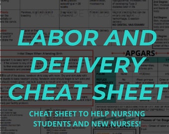 Newborn Nursing Cheat Sheet | Nursing School | Nurse Gift | Printed + Laminated | Clinical Cheat ...