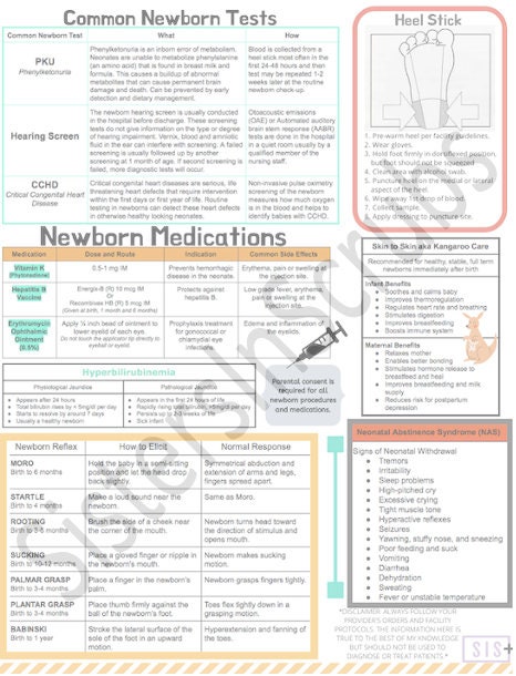 Newborn Nursing Cheat Sheet | Nursing School | Nurse Gift | Digital ...
