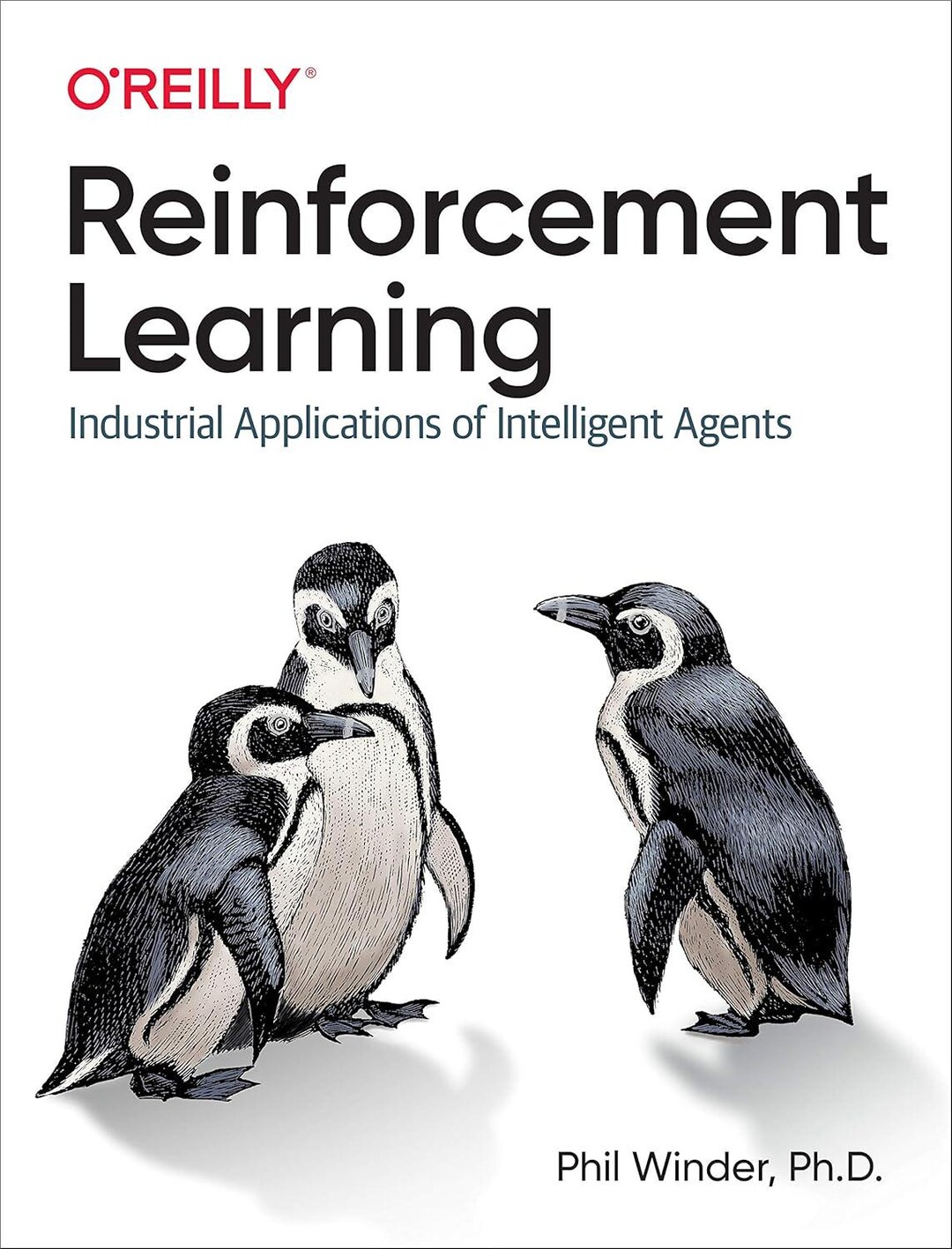 Reinforcement Learning: Industrial Applications of Intelligent Agents ...
