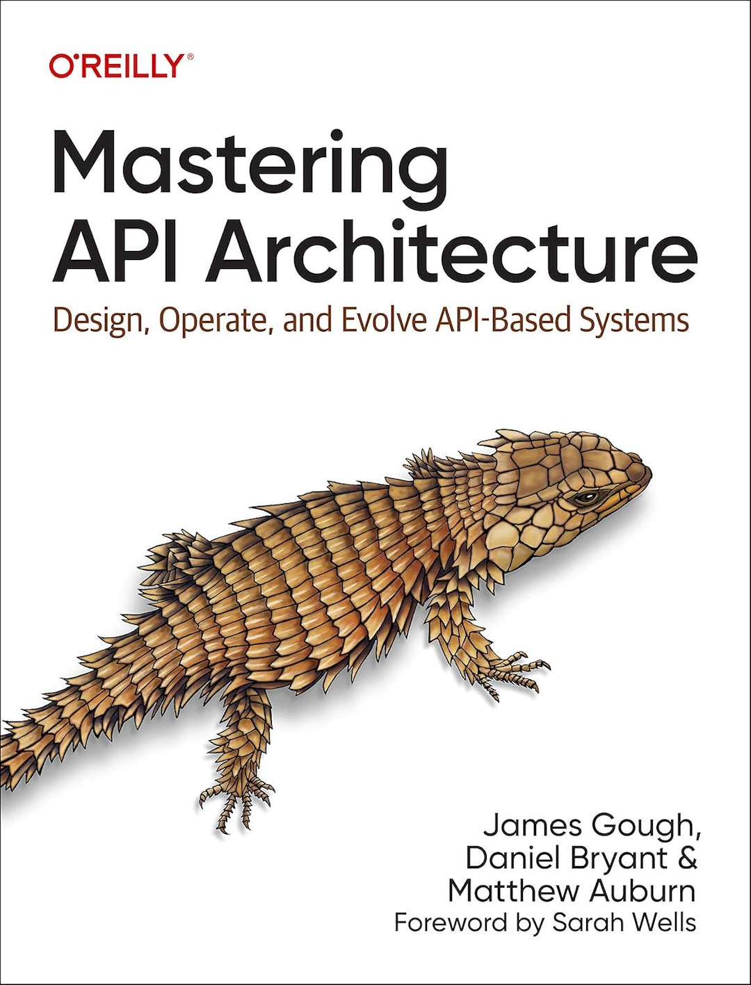 Mastering API Architecture: Design, Operate, and Evolve Api-based ...