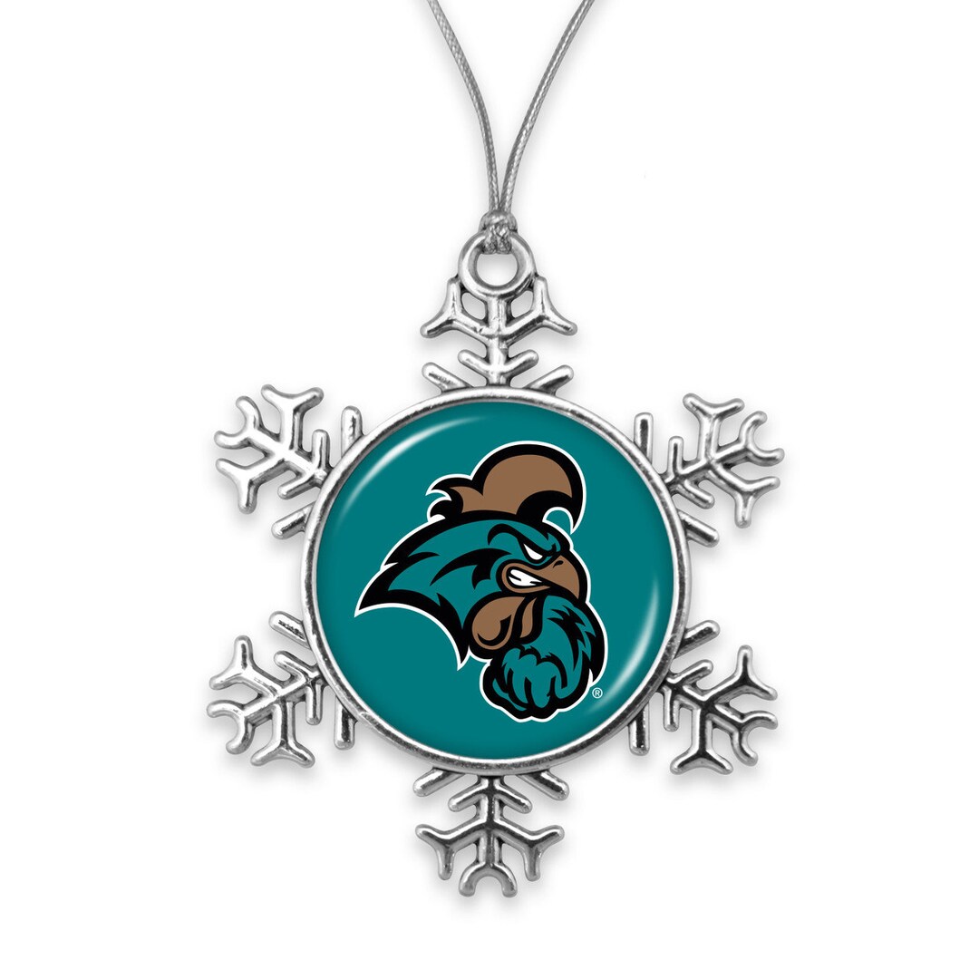 Coastal Carolina Snowflake Christmas Ornament - Etsy