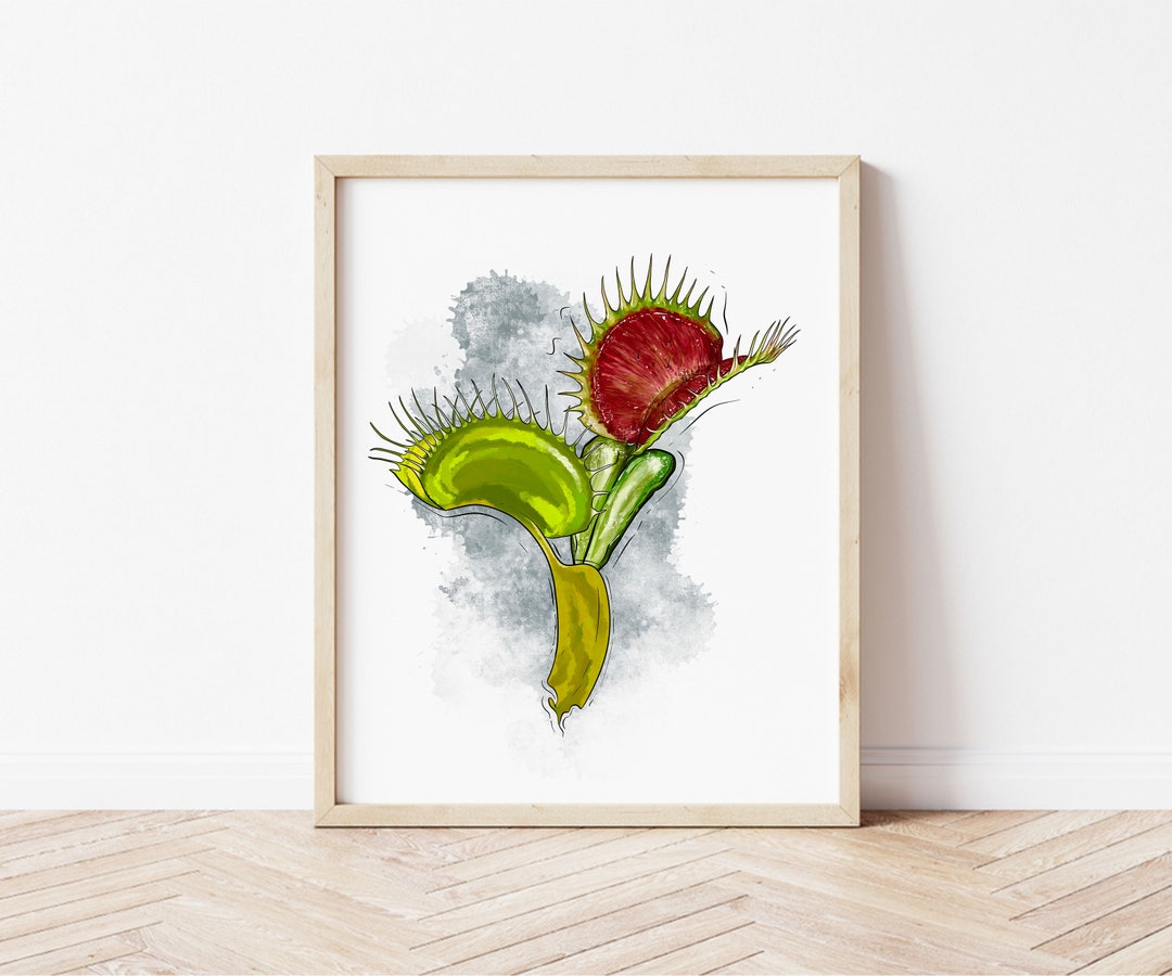 Venus Flytrap Line Art Leaves Drawing Tropicalg Leaf Printable Art Botanical Green Art Decor ...