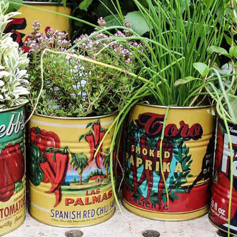 Retro Mexican/spanish Tins - Chilli & Paprika Tin Can Planter, Kitchen ...