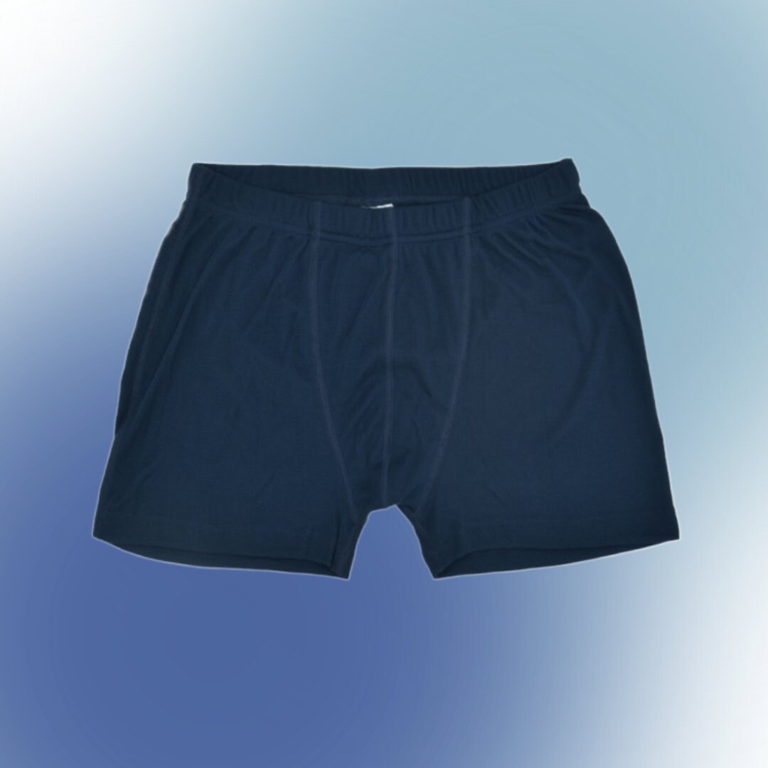 Military Briefs With Silver Ions of the Dutch Army Navy Blue, Military ...