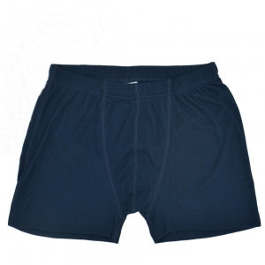 Military Briefs With Silver Ions of the Dutch Army Navy Blue, Military ...