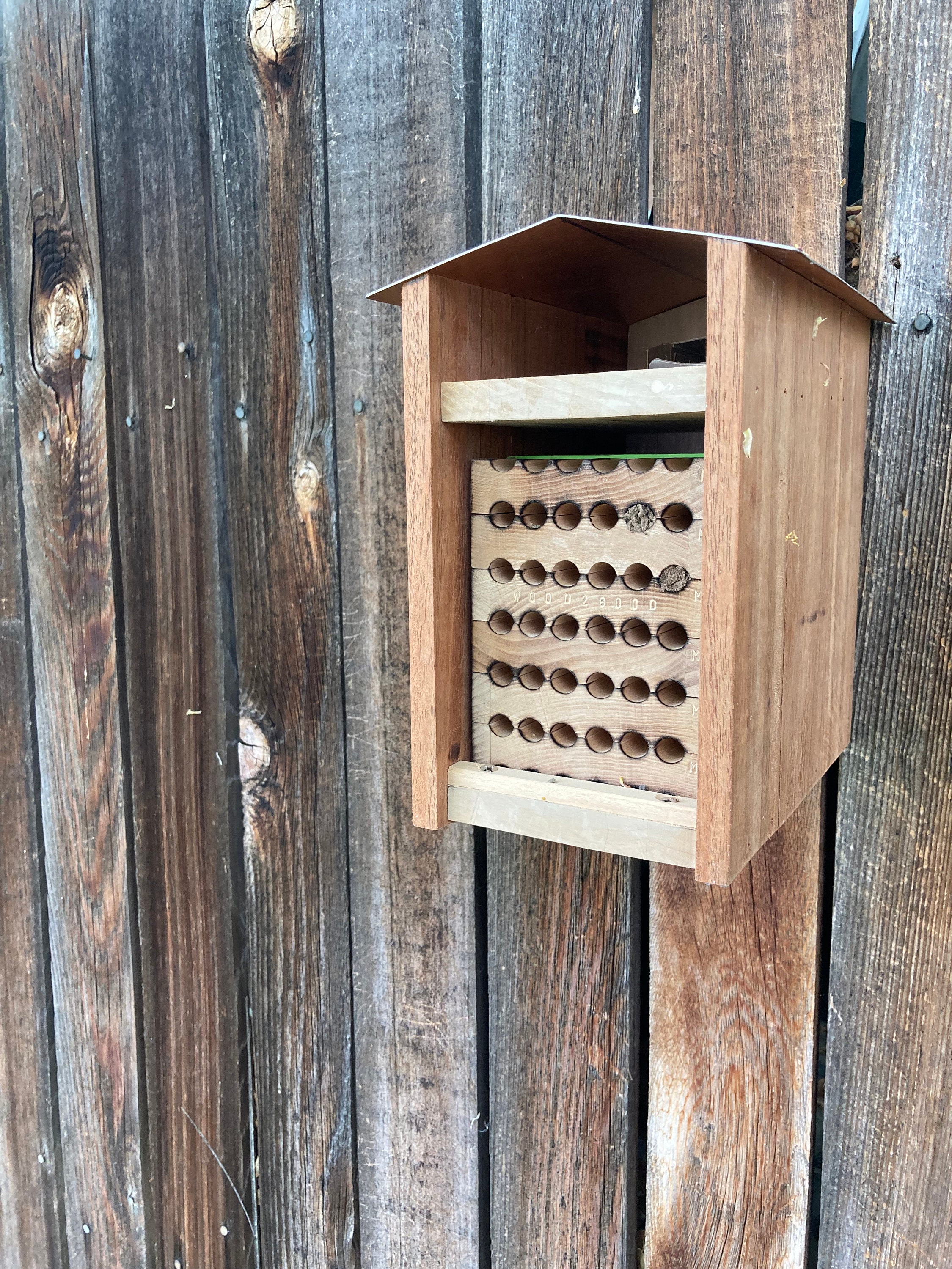 Native Bee Hotel Kit - Etsy