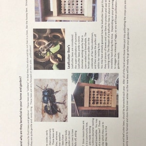 Leaf Cutter Bee Nesting Insert - Etsy