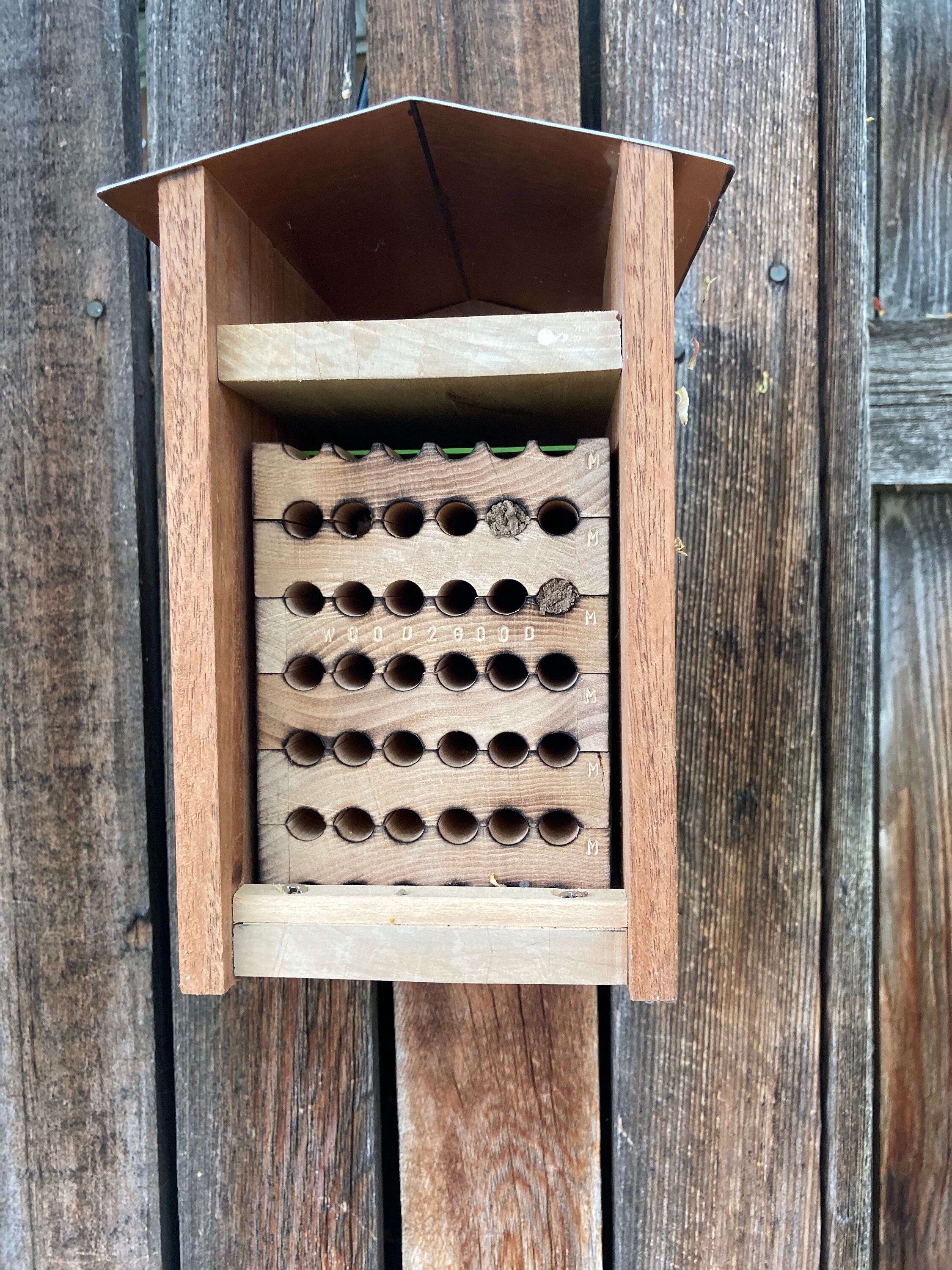 Native Bee Hotel Kit - Etsy