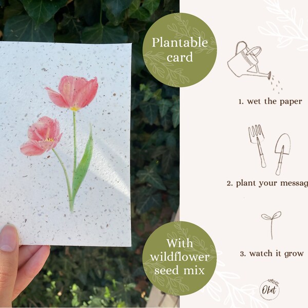 Seed Paper Postcard - Etsy