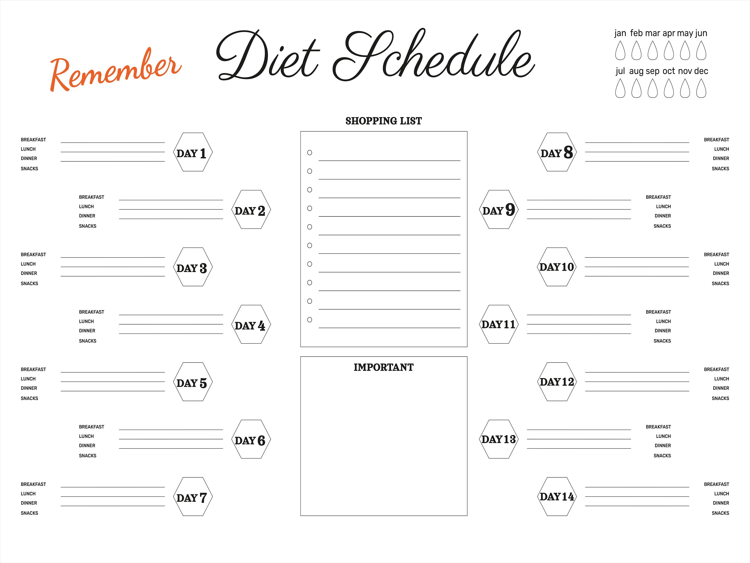 Diet Schedule With 10 Colorful Markers for Wall Transparent Acrylic ...