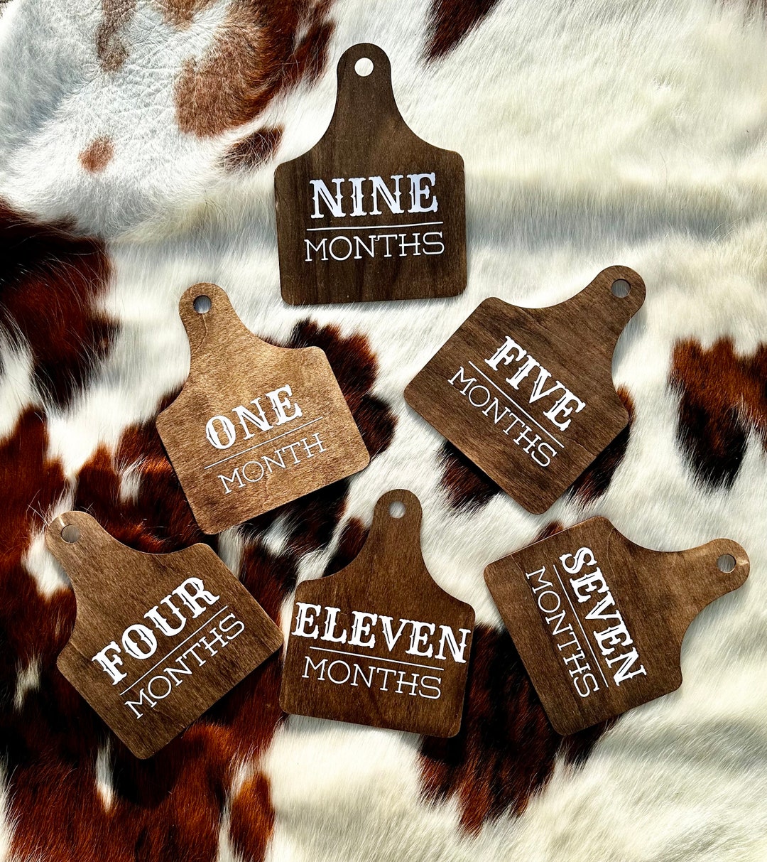 Cow Tag Monthly Milestone Cow Baby Gift Birth Announcement Sign Baby ...